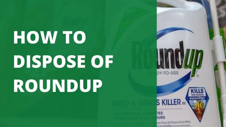 4 Best Ways to Safely Dispose of Roundup with Additional Tips