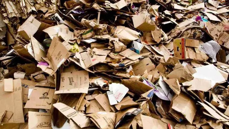 Where to Recycle Cardboard and How to: 5 Best Ways