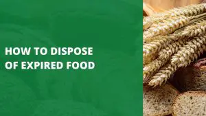 How To Dispose of Expired Food: Safety Tips and Uses
