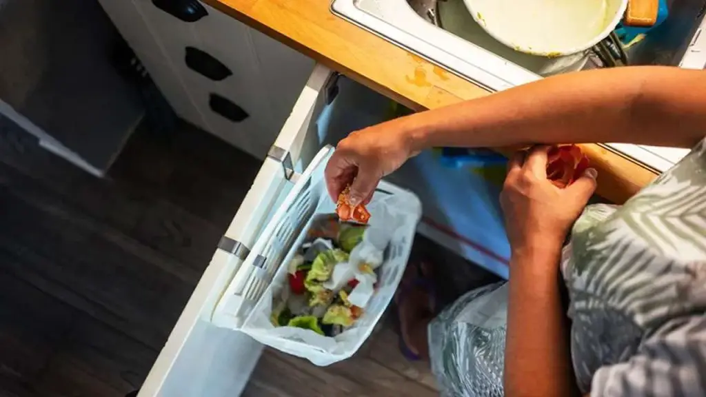 How To Dispose of Expired Food: 5 Best Disposal Options