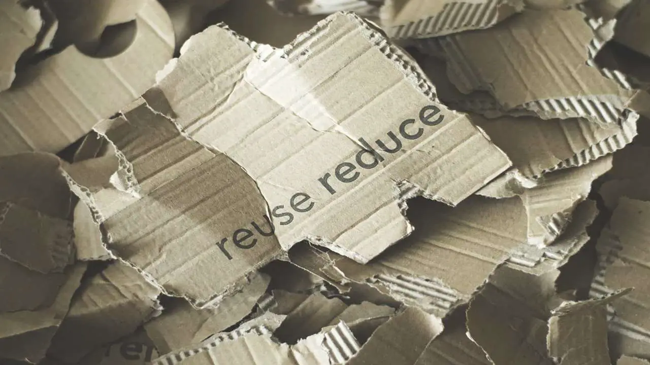 How To Recycle Paper At Home [Recycle in 7 Easy Steps]